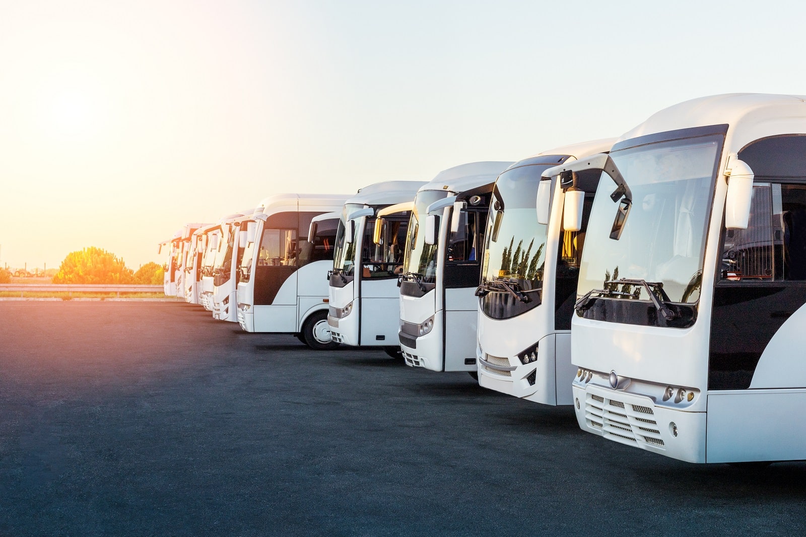 School Buses Services in Saudi Arabia - Al Fateh Transport