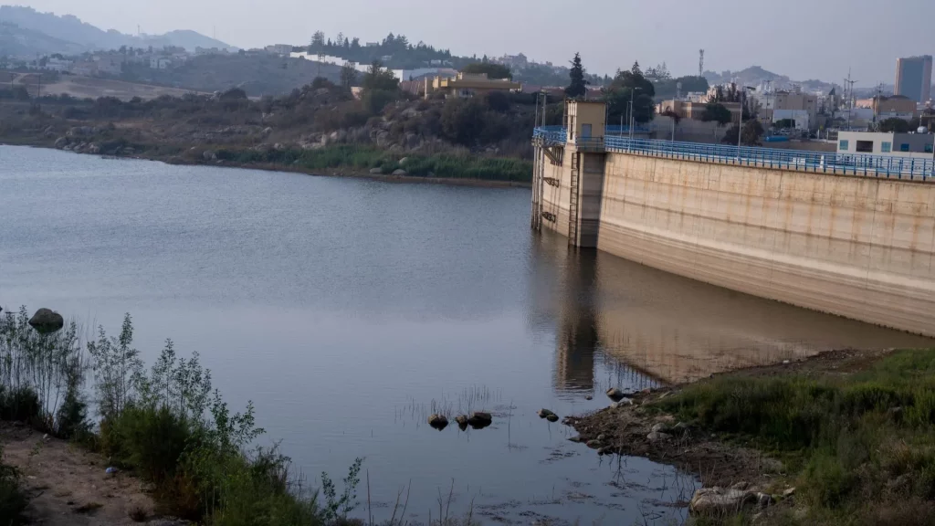 Things to do in Abha - Al Fateh Transport