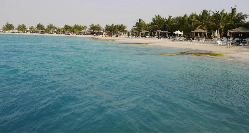 Things to Do In Jeddah - Al Fateh Transport